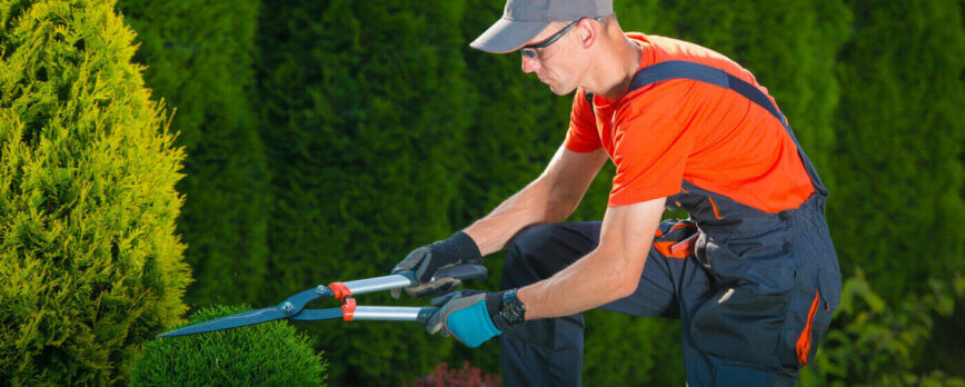 Potvrzení o zaměstnání neboli zápočtový list — Dostupný advokát